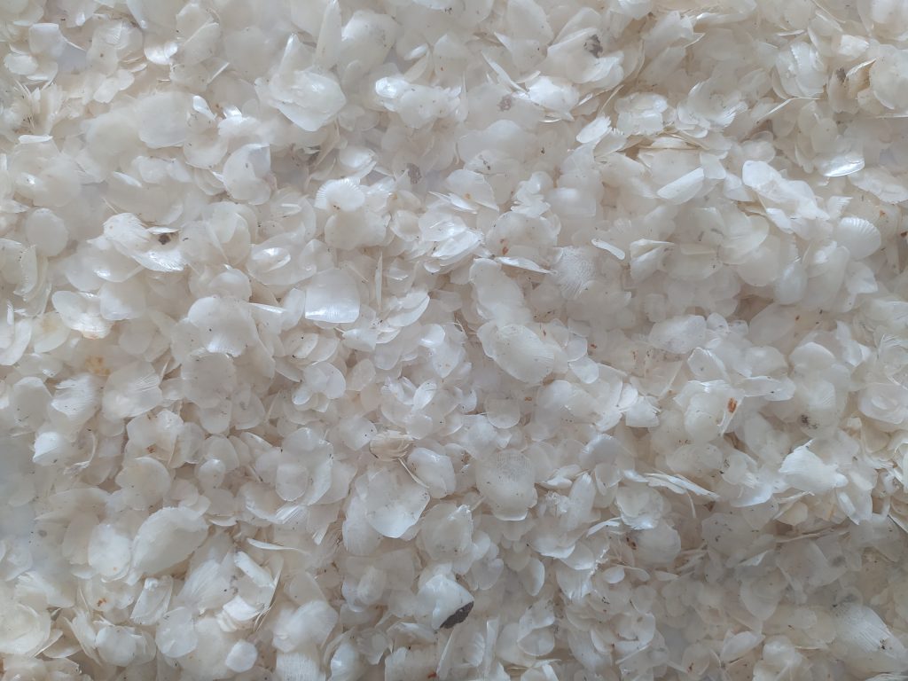 DRIED FISH SCALES - GIA GIA NGUYEN COMPANY LIMITED