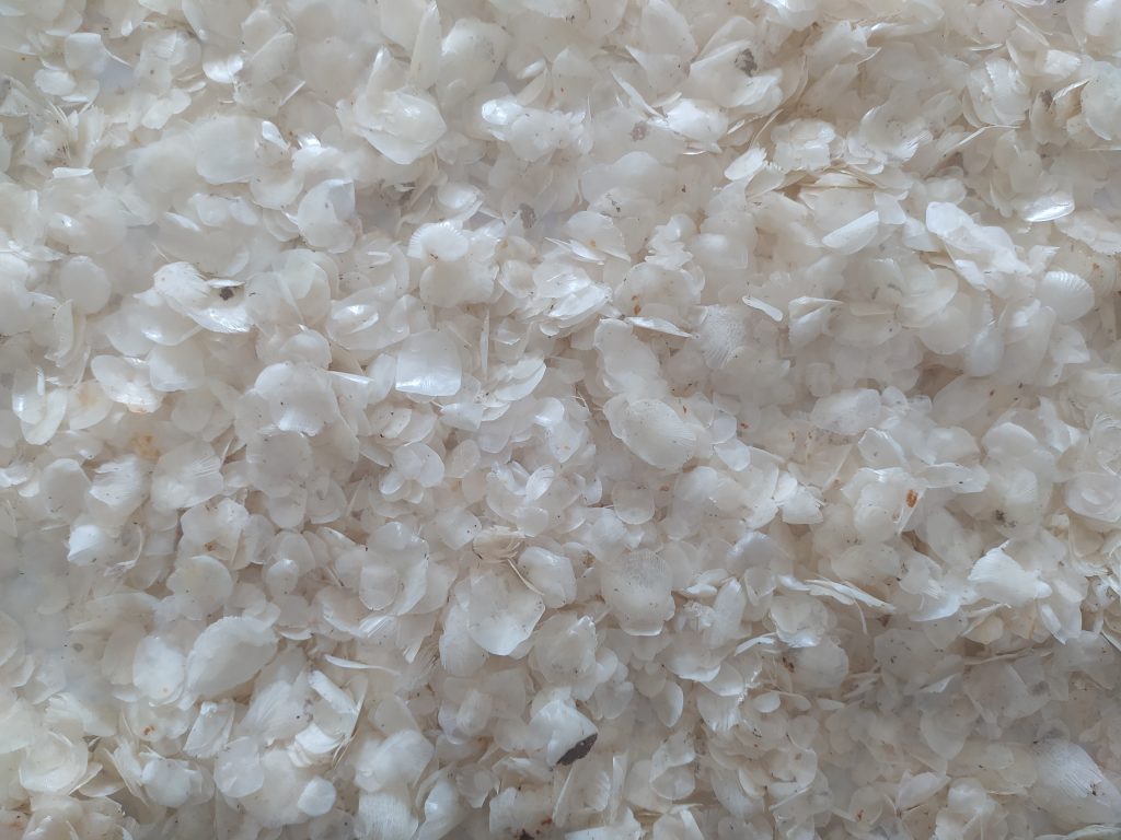 DRIED FISH SCALES - GIA GIA NGUYEN COMPANY LIMITED