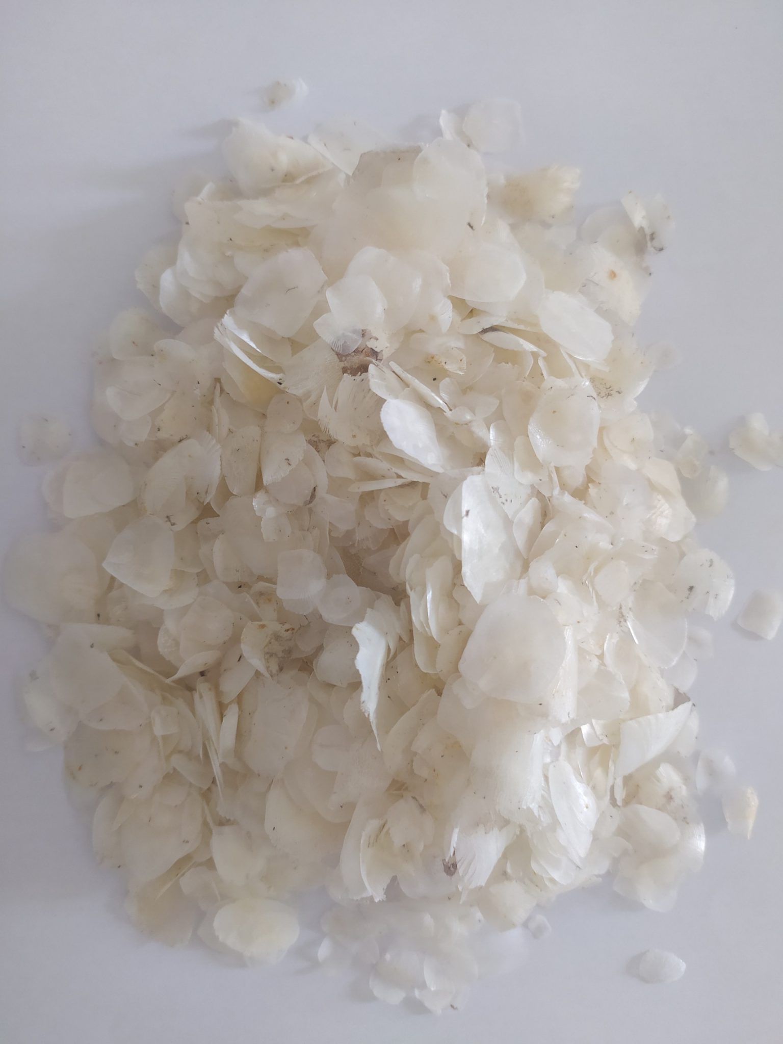 DRIED FISH SCALES - GIA GIA NGUYEN COMPANY LIMITED