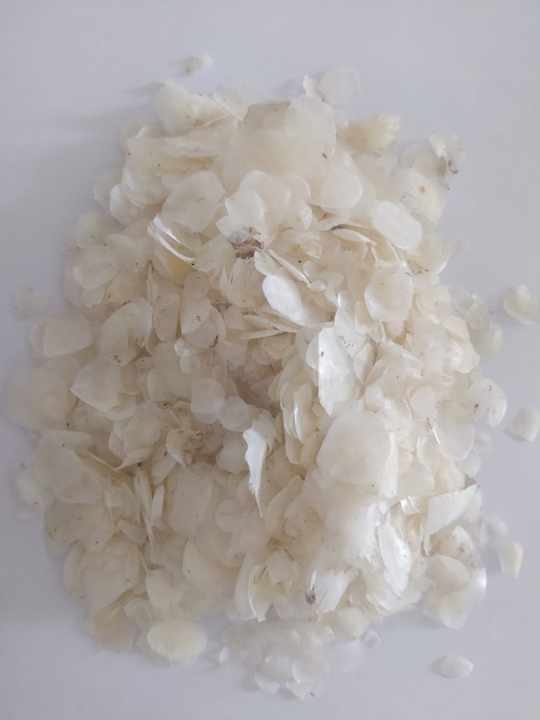 DRIED FISH SCALES - GIA GIA NGUYEN COMPANY LIMITED