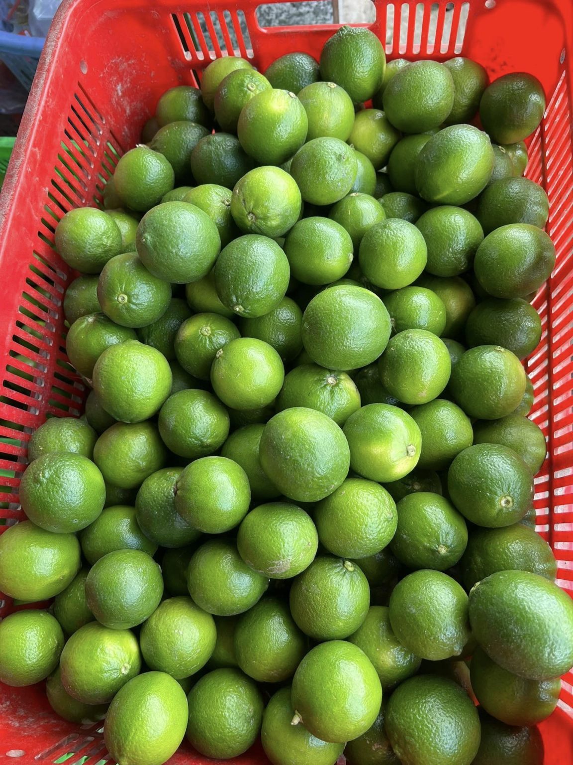 FRESH SEEDLESS LIME - GIA GIA NGUYEN COMPANY LIMITED
