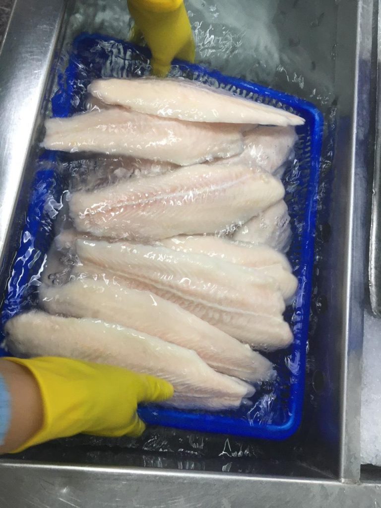 FROZEN PANGASIUS FISH - GIA GIA NGUYEN COMPANY LIMITED