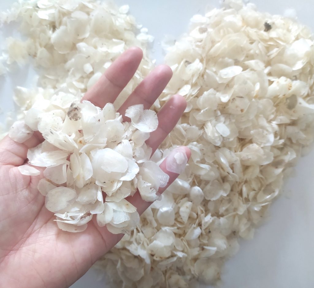 DRIED FISH SCALES - GIA GIA NGUYEN COMPANY LIMITED