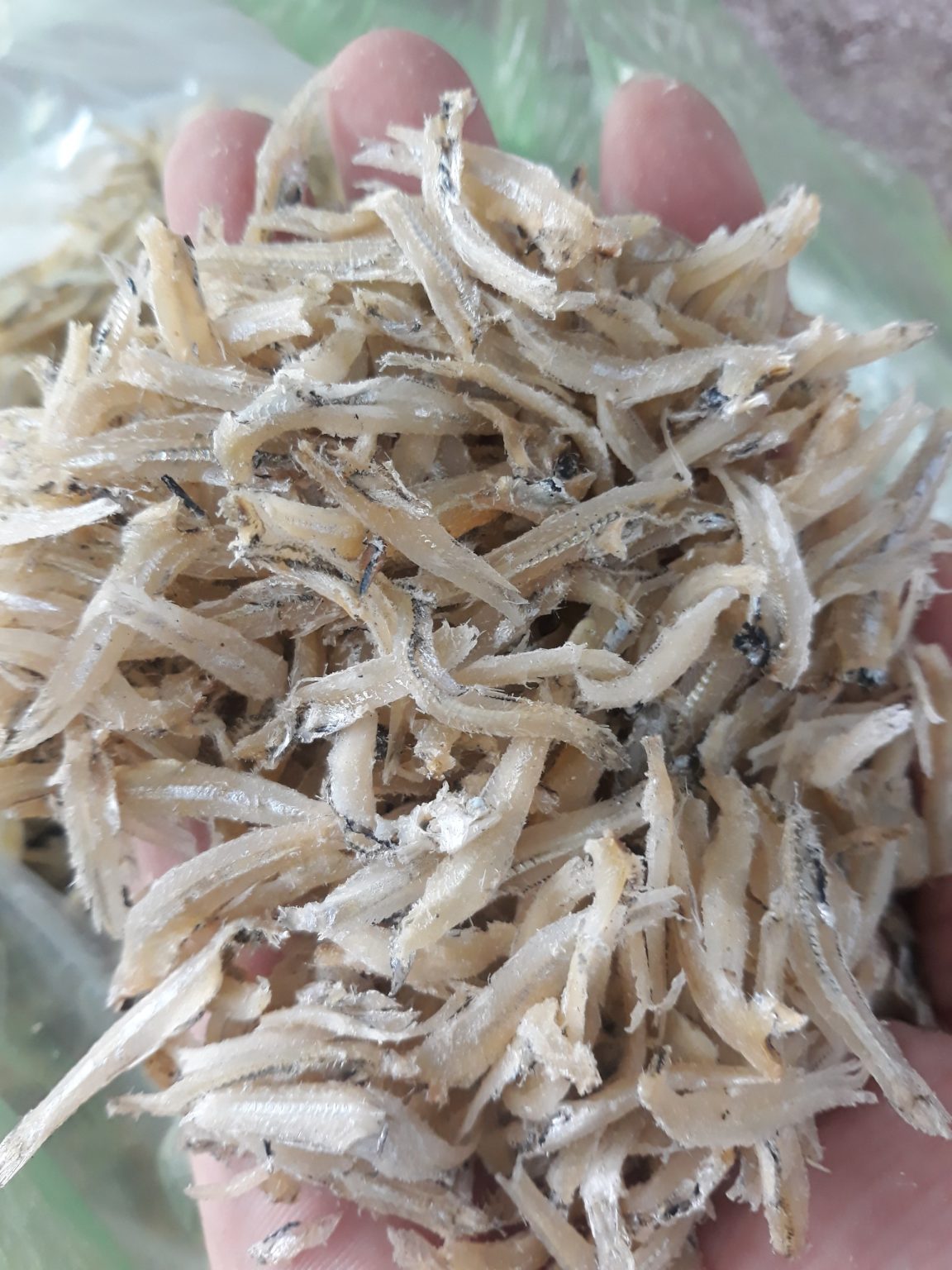DRIED ANCHOVY FISH - GIA GIA NGUYEN COMPANY LIMITED
