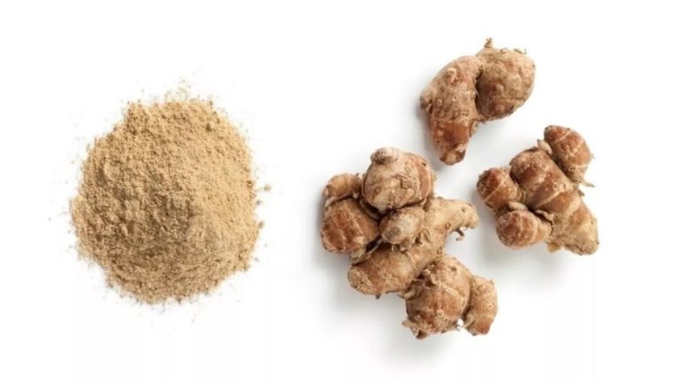 Sand Ginger (Kaempferia galanga L): Characteristics and remedies from ...